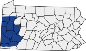 Professional Power Washing in Pennsylvania | Perfect Power Wash